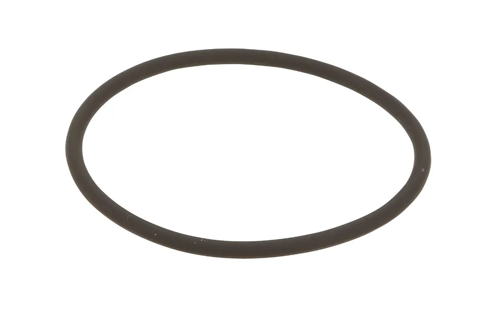 OES Camshaft Adjuster Magnet Seal O-Ring - WHT-007-212-B - 75026088 ...