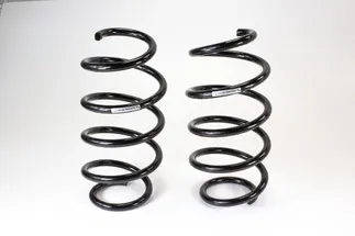 Stock Coil Springs
