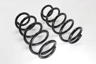 Stock Coil Springs